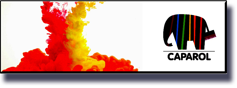 Podkład Gruntujący Capagrund Universal 2,5 L | ABUD - materiały budowlane