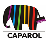 Caparol Capatox 1l preparat do usuwania glonów | ABUD - materiały budowlane