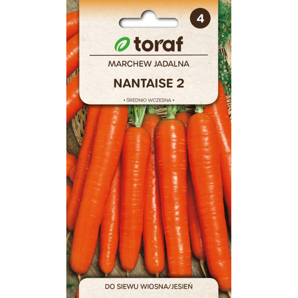 Nasiona Marchew Jadalna Nantaise 2 5g | ABUD - materiały budowlane